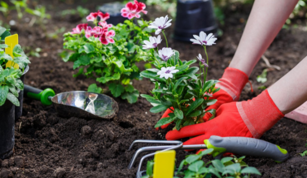 Home - Eden Garden Property Maintenance | Professional Garden ...